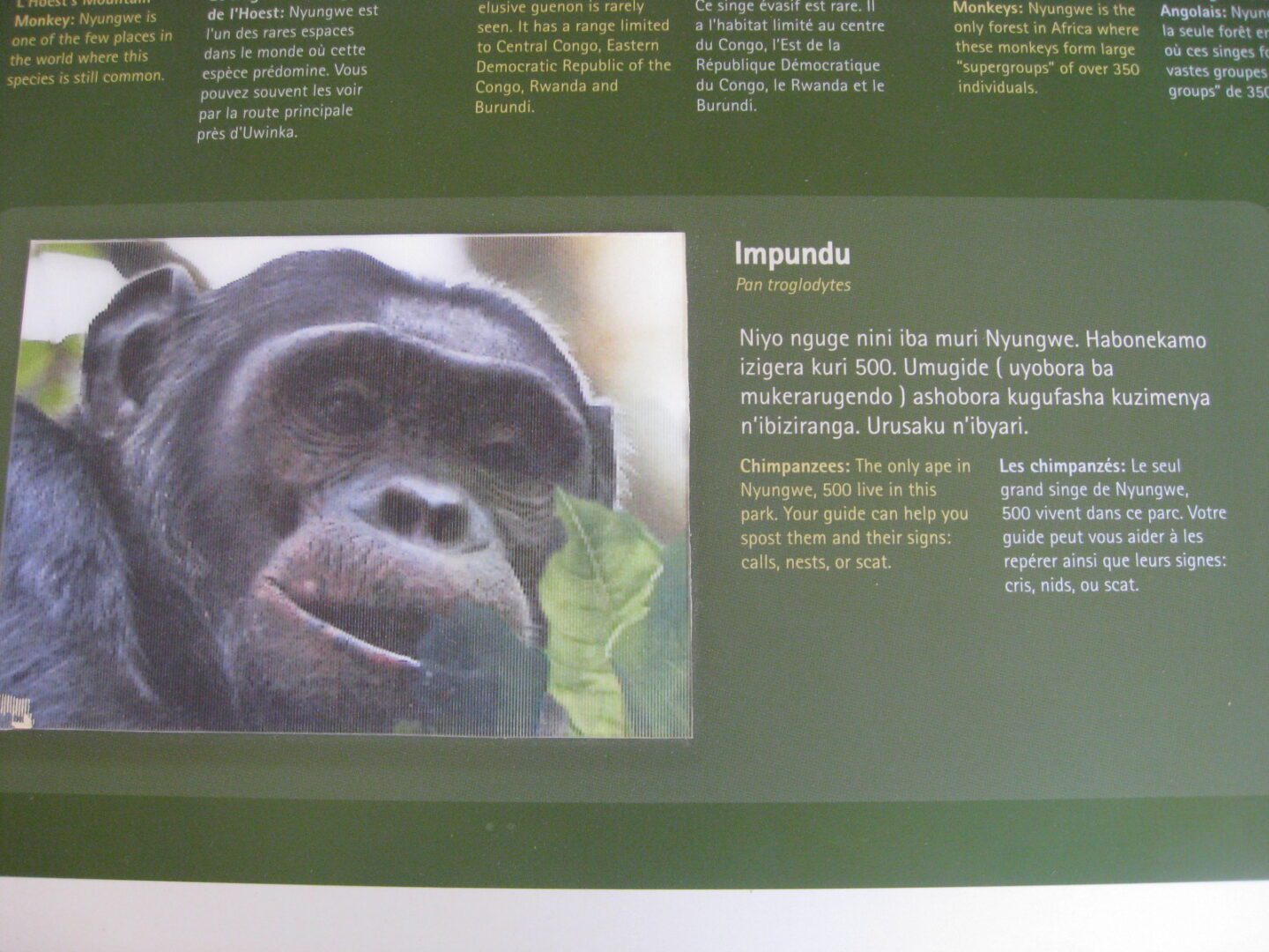 Rwanda - Nyungwe Nziza Project - SW Associates, LLC